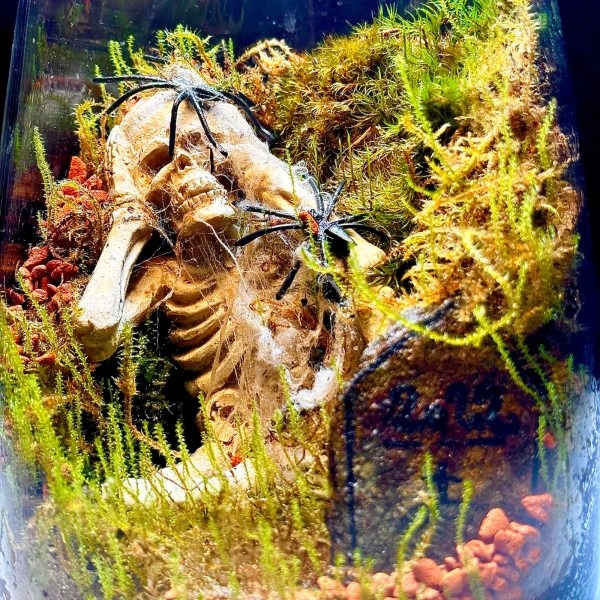 Screaming Cemetery Terrarium – ZaBe Kauppa
